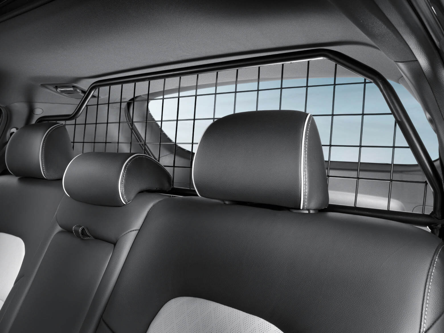 Krovinio tinklelis, viršutinė dalis